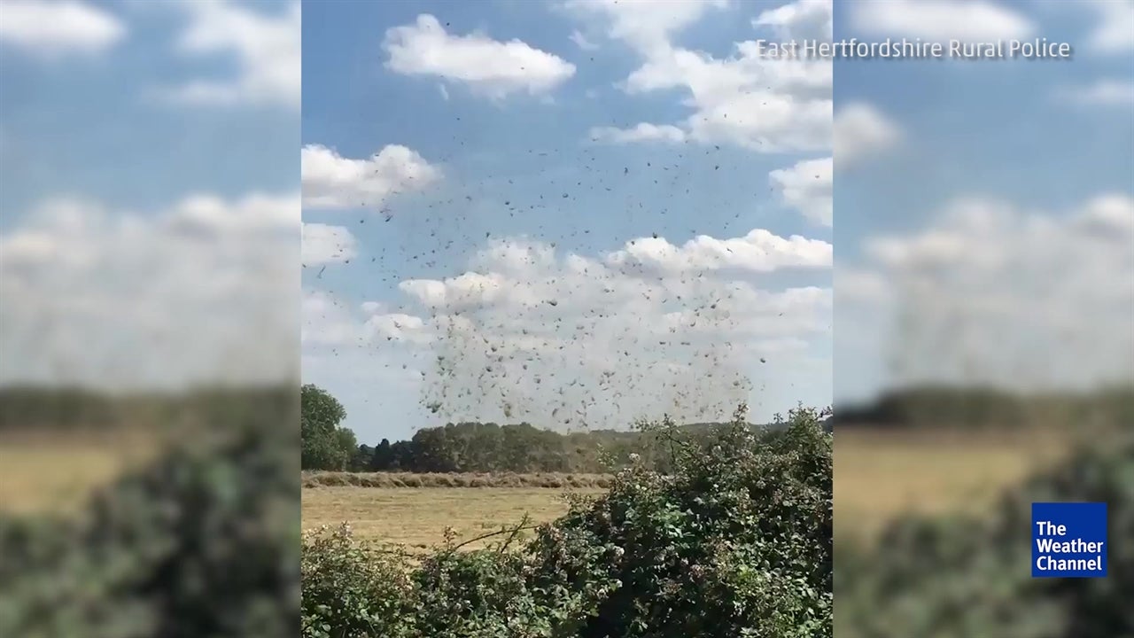 Watch: Incredible dust devil caught on camera | The Weather Channel