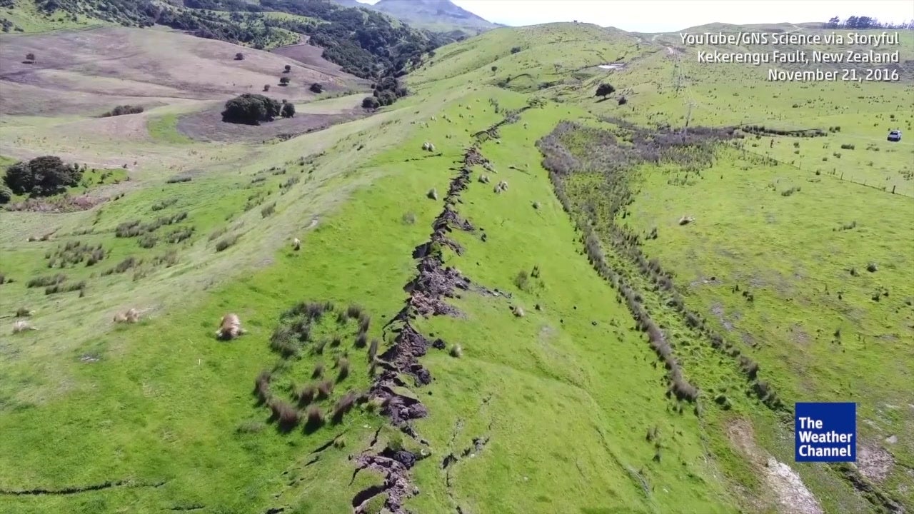 Satellite Images Show New Land Exposed by Powerful New Zealand ...