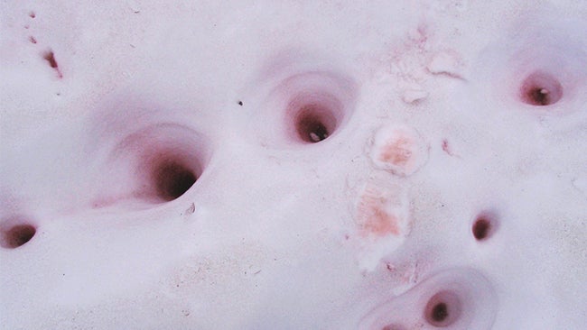 Melted Watermelon Snow Seen at Glacier National Park | The Weather Channel