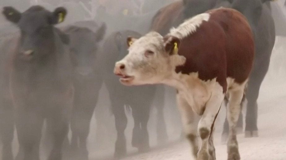 Weather Videos | Weather Underground