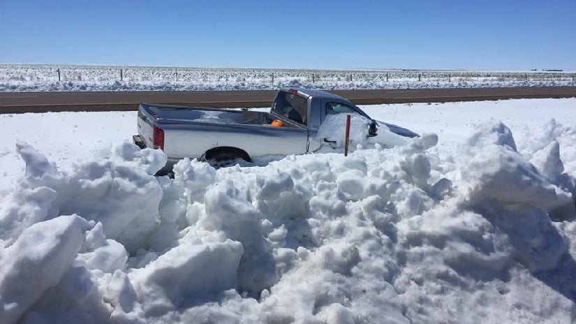 Winter Storm Ursa Devastated Cattle Populations in Colorado, Kansas ...