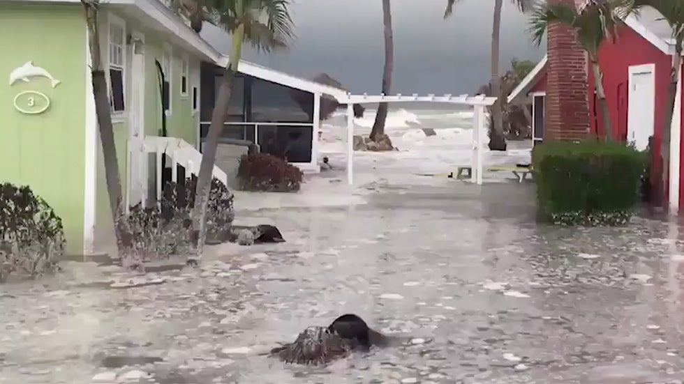 NOAA Research Finds East Coast is Hit by 25 Meteotsunamis Each Year ...