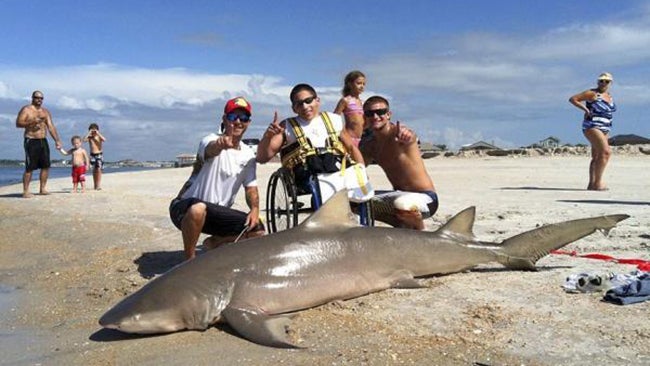 What a Catch! Man in Wheelchair Nabs 250-pound Shark | Weather.com