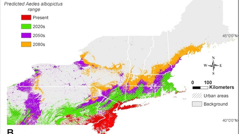 What Warming Means For Four of Summer's Worst Pests | The Weather Channel
