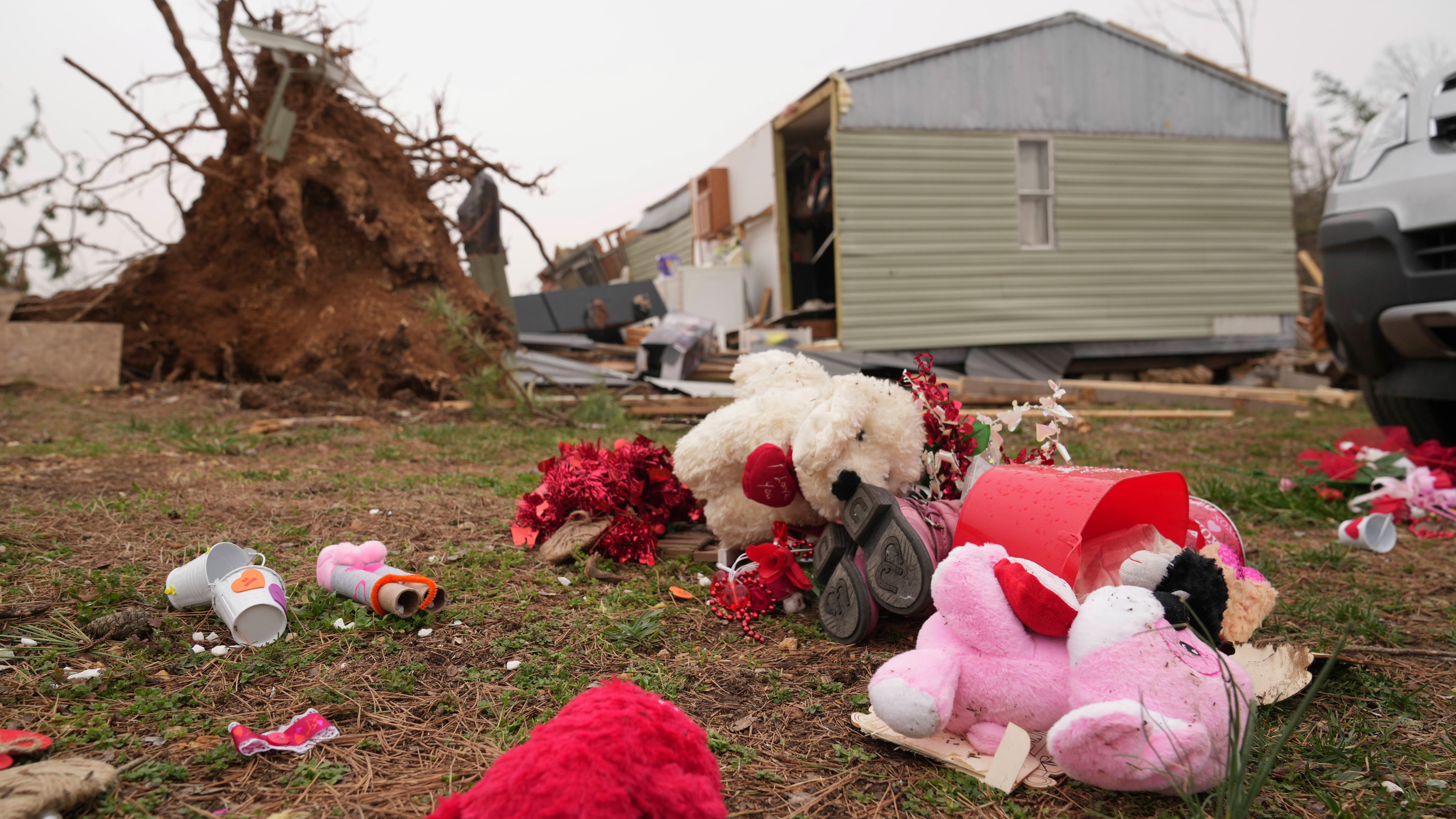 Falling Trees: An Underreported, Deadly Danger During Severe Weather ...
