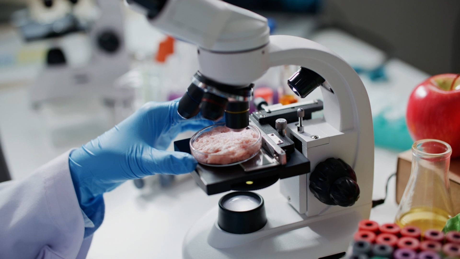 Is Beef-Rice Hybrid The Future Of Food? - Videos from The Weather Channel