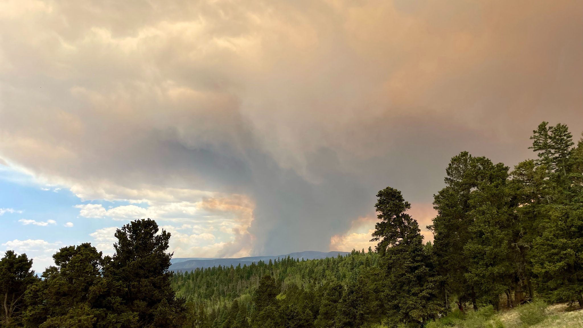 Lack Of Weather, Climate Knowledge Fueled New Mexico's Largest Wildfire ...