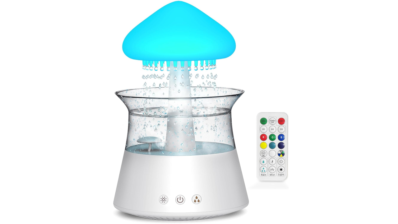 Are Rain Cloud Humidifiers Worth The Hype? | Weather.com