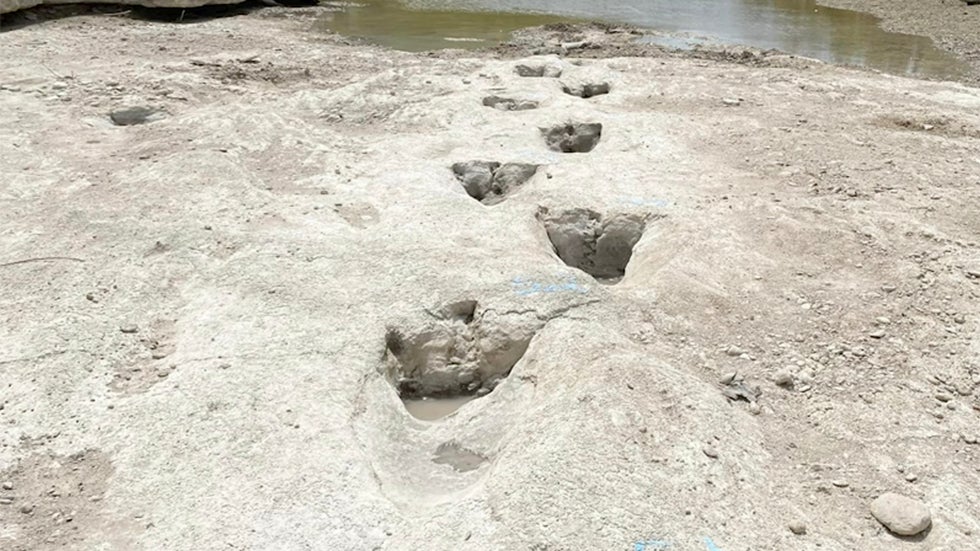 Dino Footprints Texas Walking In Real Dinosaur Footprints At Texas'