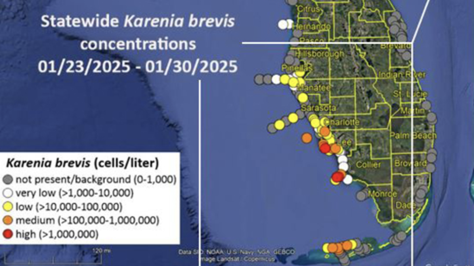 Red Tide On Southwest Florida Beaches | Weather.com