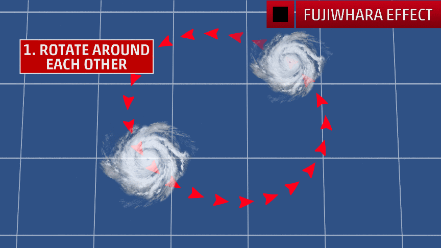 Twin Lows Do a Fujiwhara Dance Off East Coast, Resembling a Face in ...