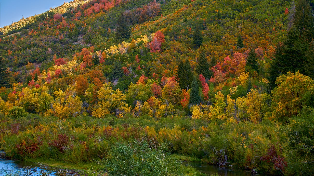 U.S. Drives That Offer Beautiful Fall Foliage | Weather.com