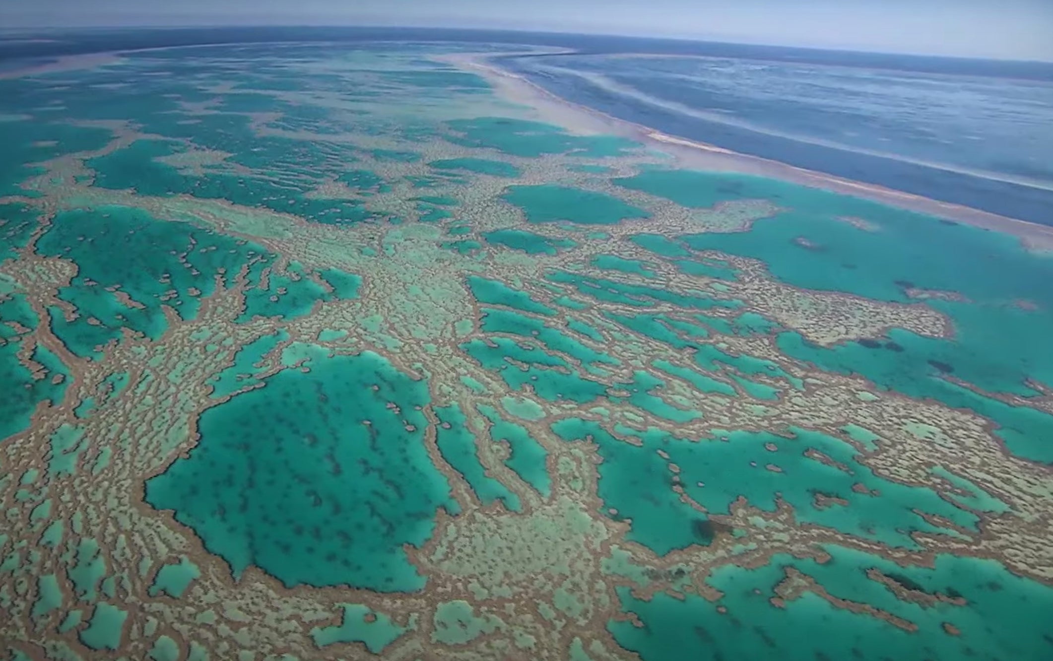 Australia's Great Barrier Reef In Critical Condition Due To Climate ...
