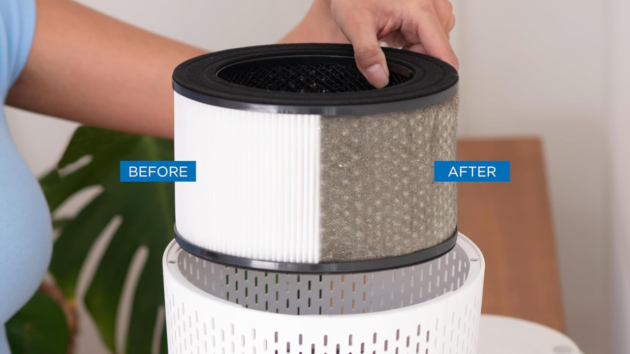Best Pollen Air Purifiers: Help Control Your Allergies | Weather.com