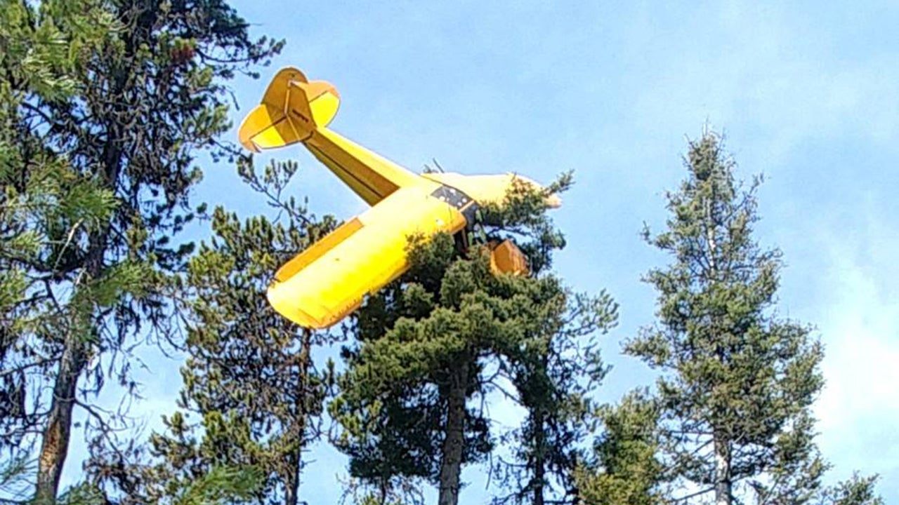 Idaho Pilot Rescued After His Small Plane Gets Stuck in 60-Foot Tree ...