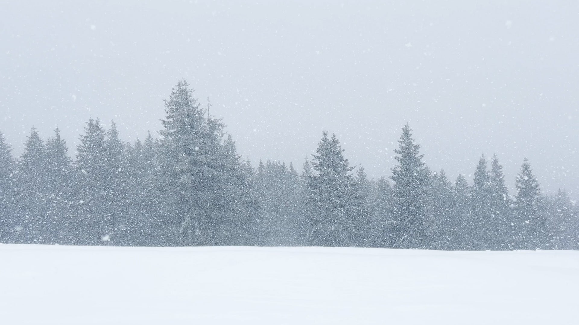 Weather Videos | Weather Underground