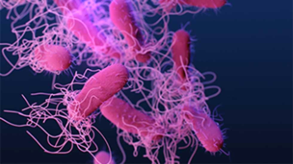 The Superbug Virus 2013