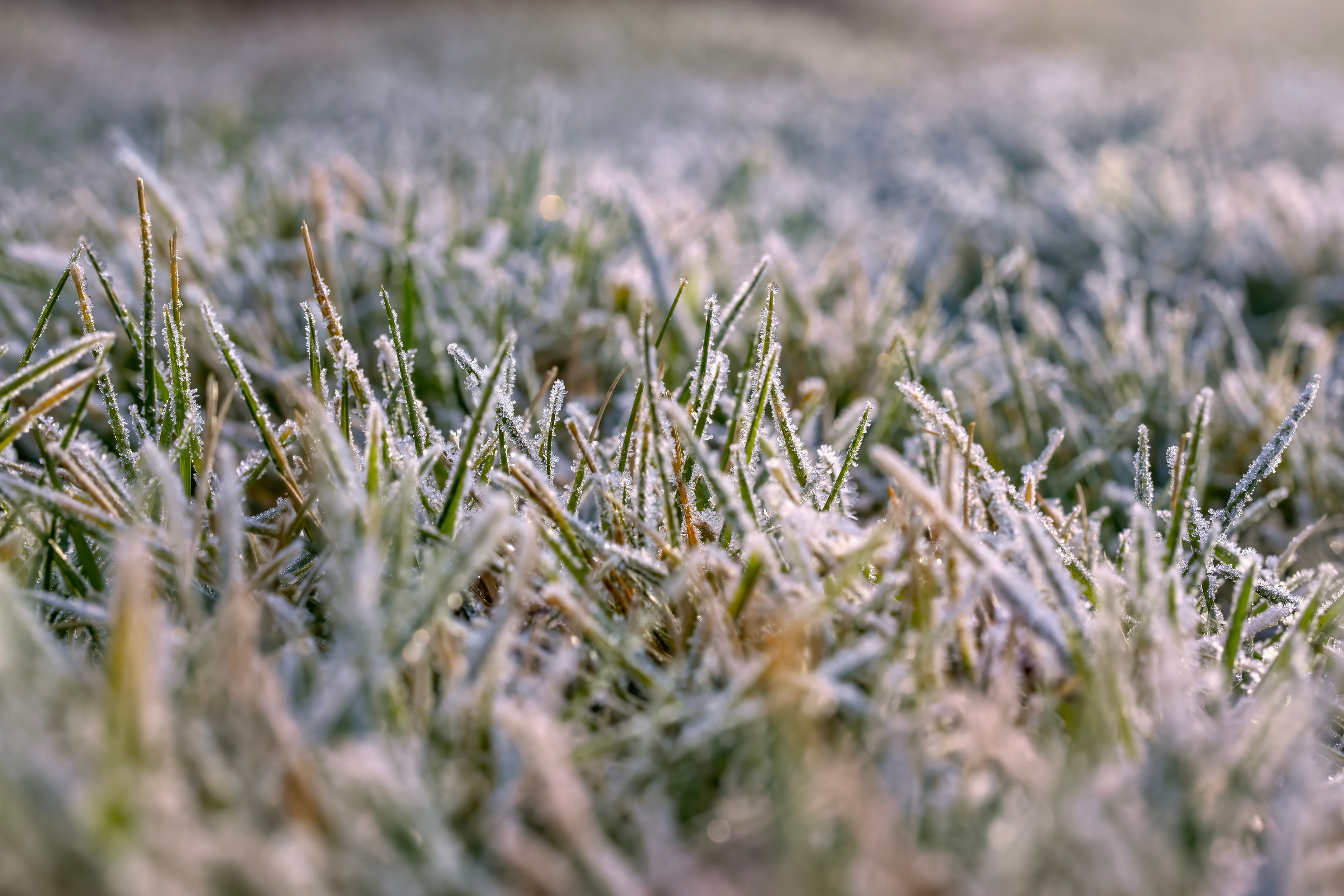 Weather Words: Frost Line | Weather.com
