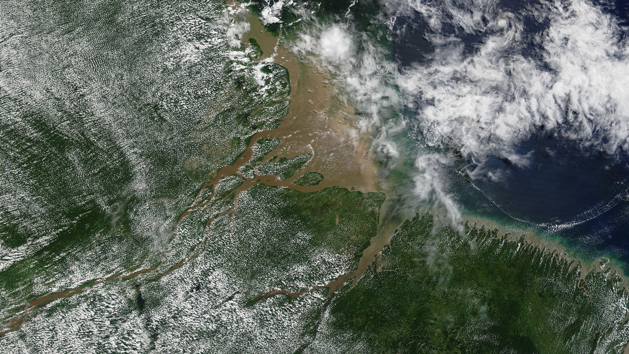 Scientists Discover 600-Mile Coral Reef in Depths of the Amazon River ...