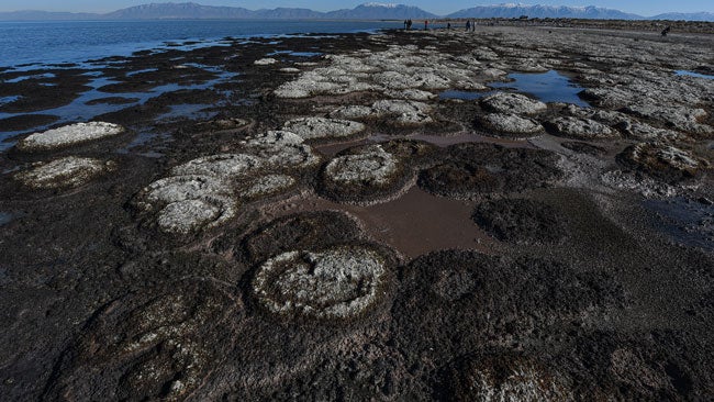 Drought of Utah's Great Salt Lake Reveals 'Living' Rocks | The Weather ...