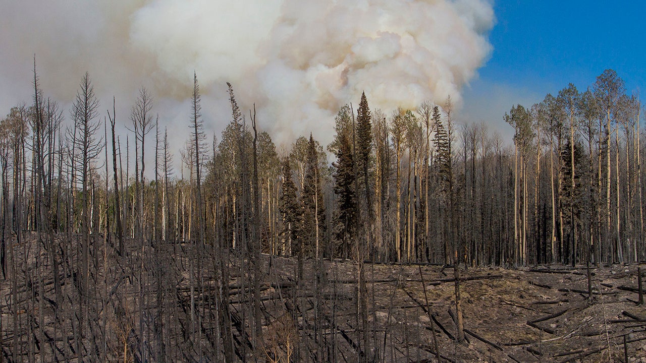 West On Fire: Dozens of Large Fires Torching Thousands of Acres | The ...