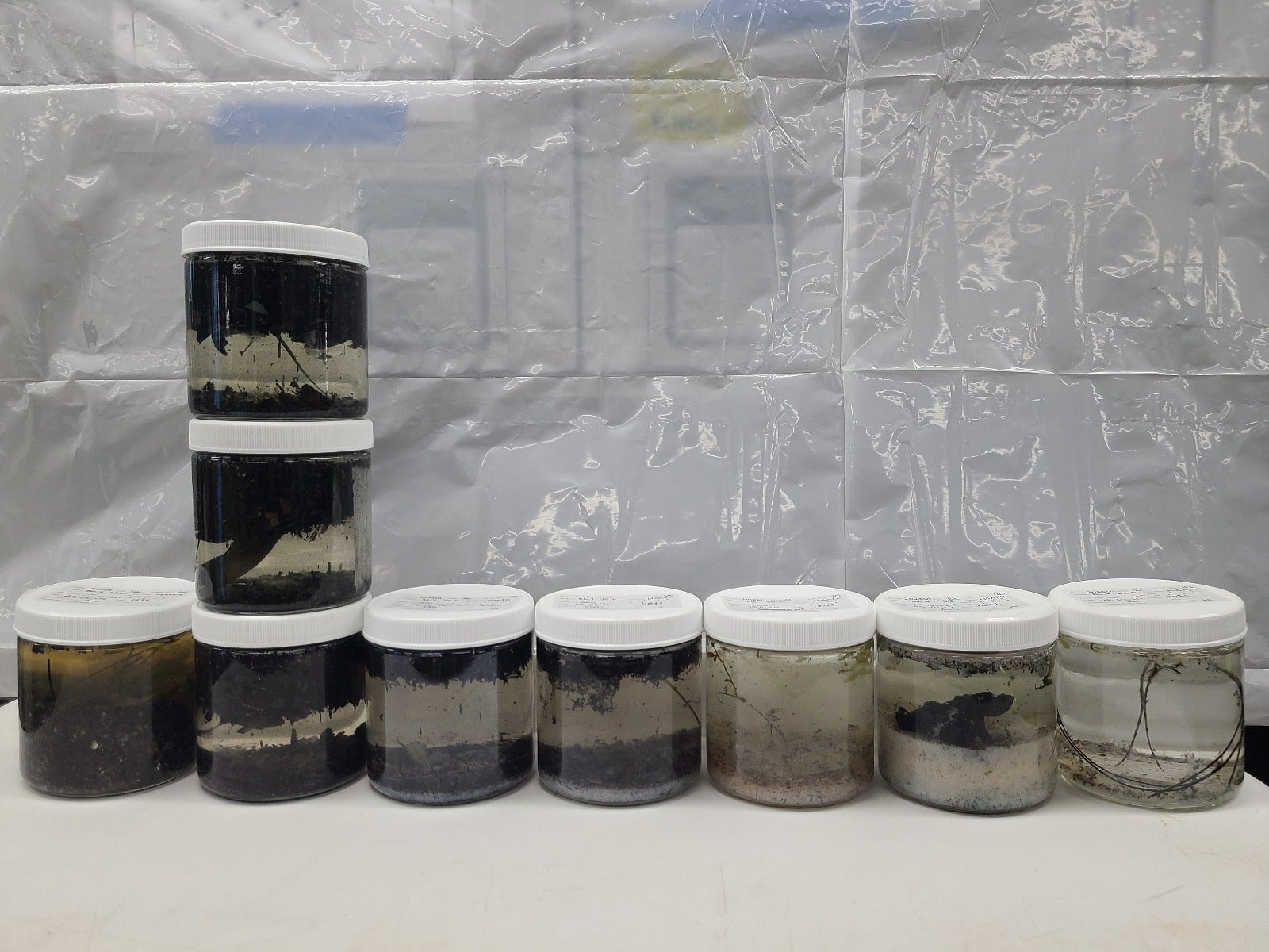 Urban Ash Contains Harmful Toxins From CA Fires | Weather.com