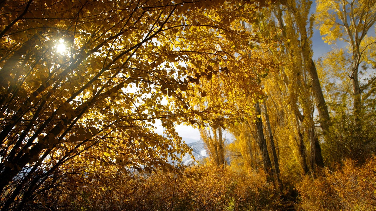 Best Places To Enjoy Fall Weather | The Weather Channel