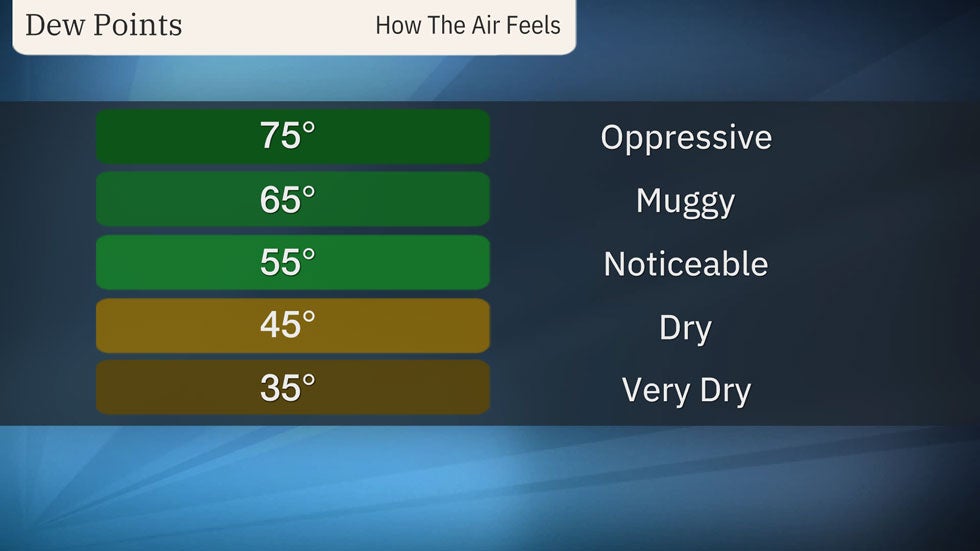 How Midwest Humidity Can Get A Boost By 'Corn Sweat' During Summer Heat ...