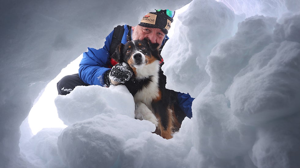 Are Dogs Ok In The Snow