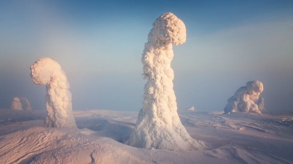 Incredible Photos of Snow-Covered Trees Near Arctic Circle Resemble ...