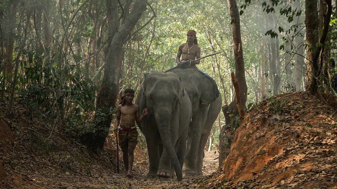 Inside the Thai Village of Elephant Catchers (PHOTOS) | The Weather Channel