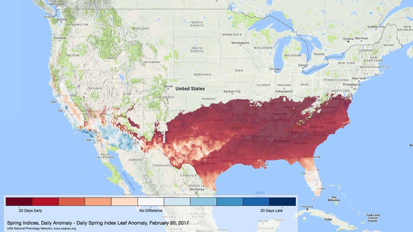 Spring Has Arrived Earlier Than Usual in Much of the United States ...