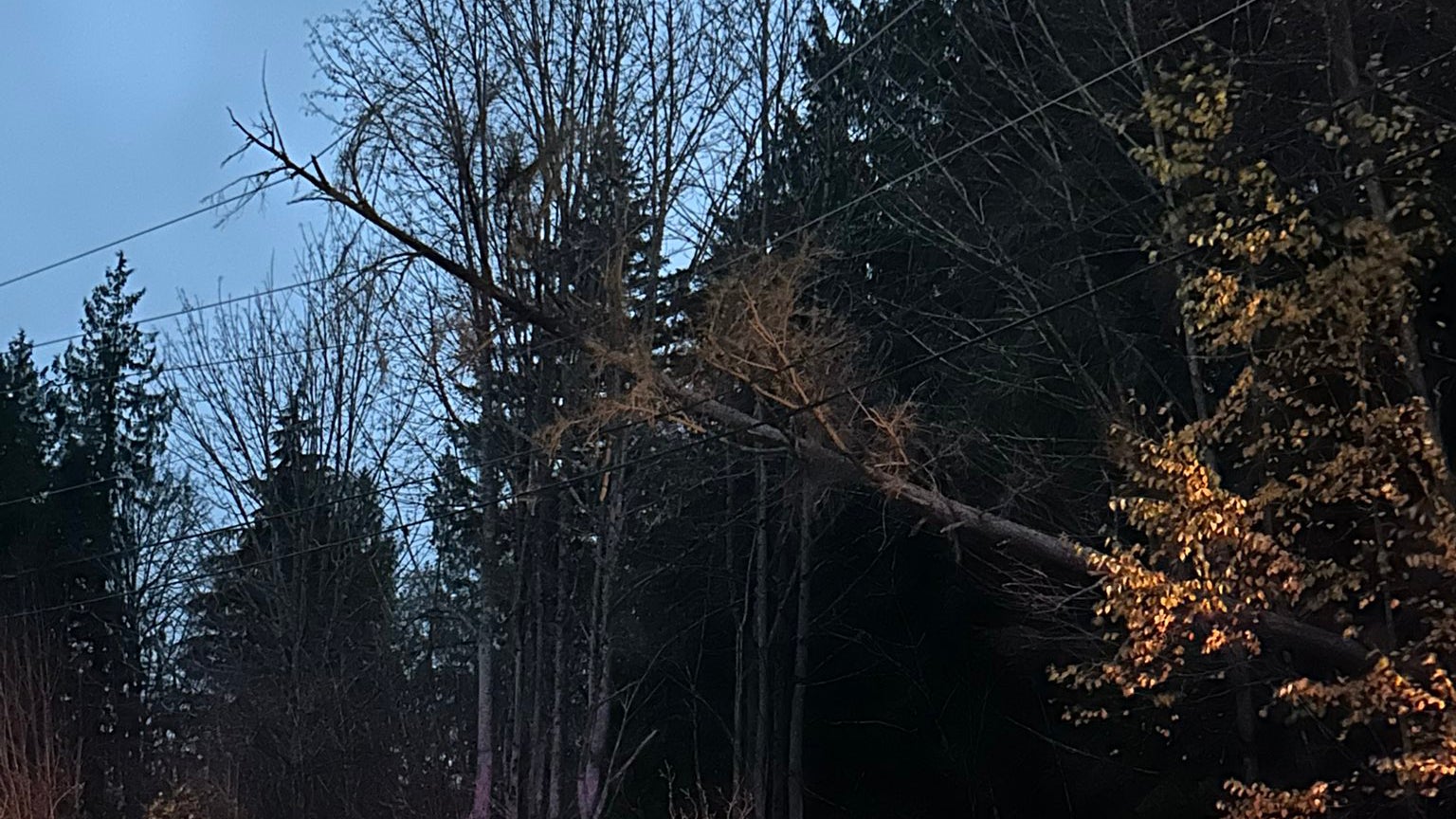 Bomb Cyclone Hits Washington, Oregon, California | Weather.com