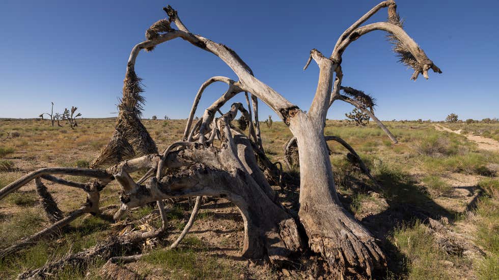 California Wildfire Numbers Are Lower Than Last Year Heres Why