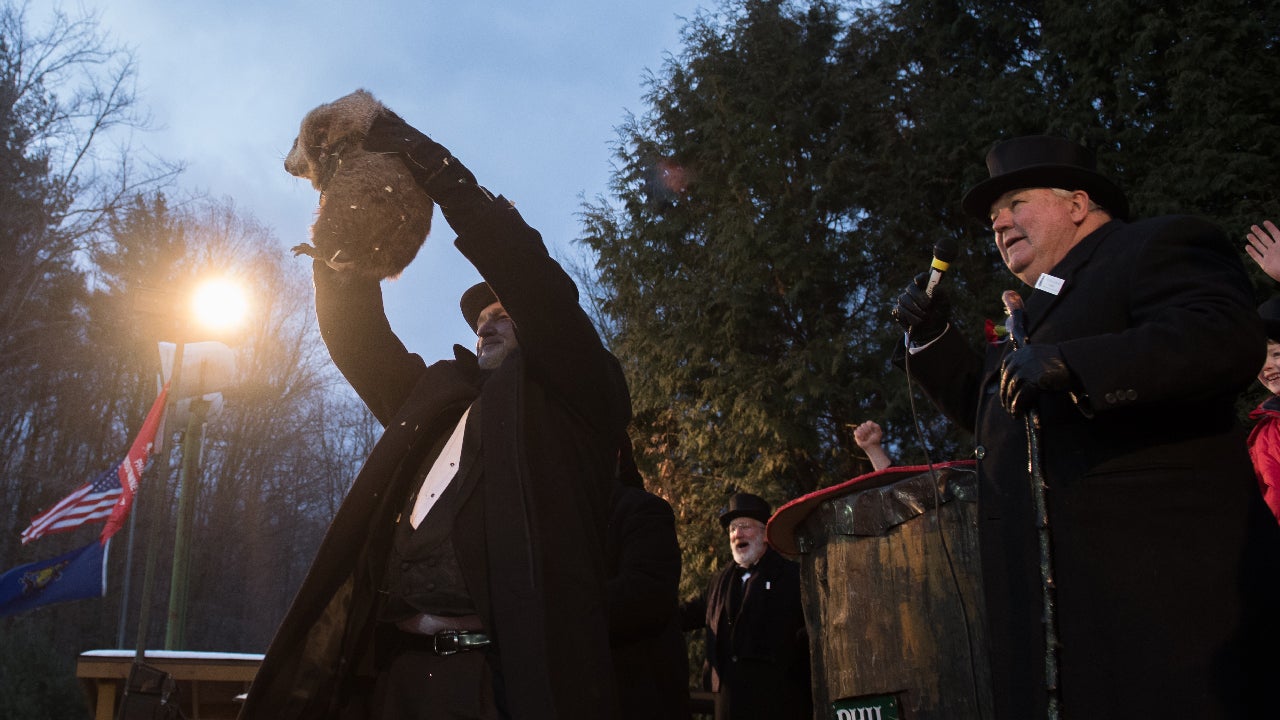 PETA Wants An AI Robot to Be the Star of Groundhog Day | The Weather ...