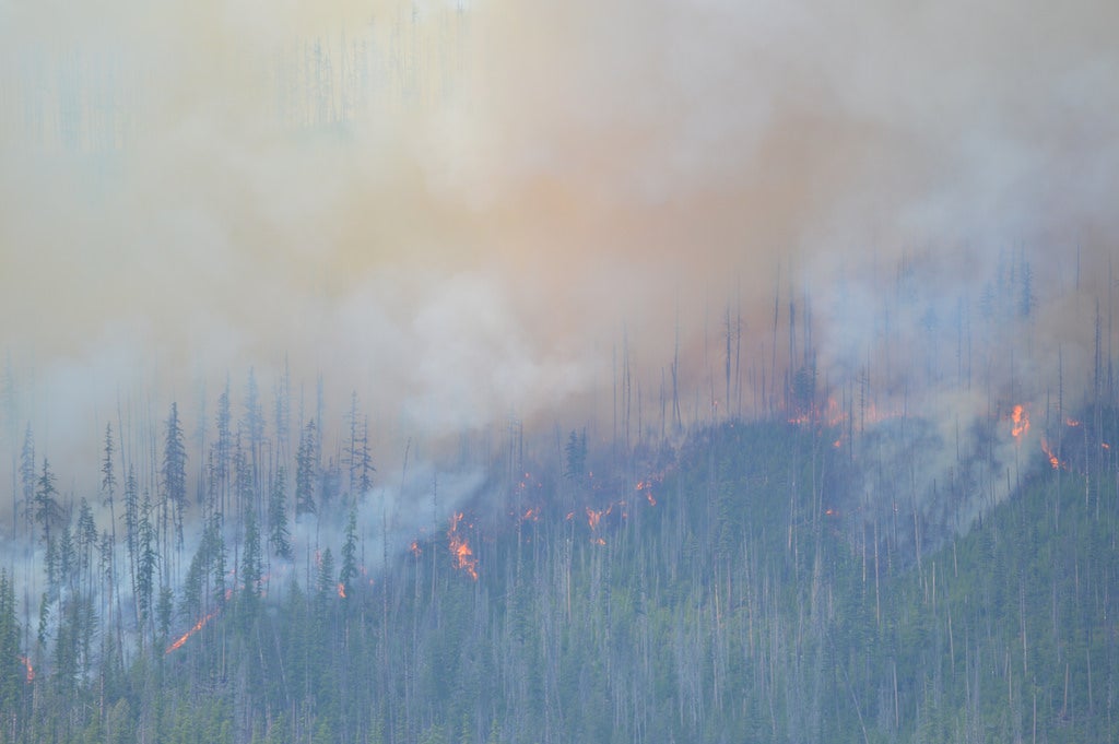 West Side of Glacier National Park Closed after Wildfire Prompts ...