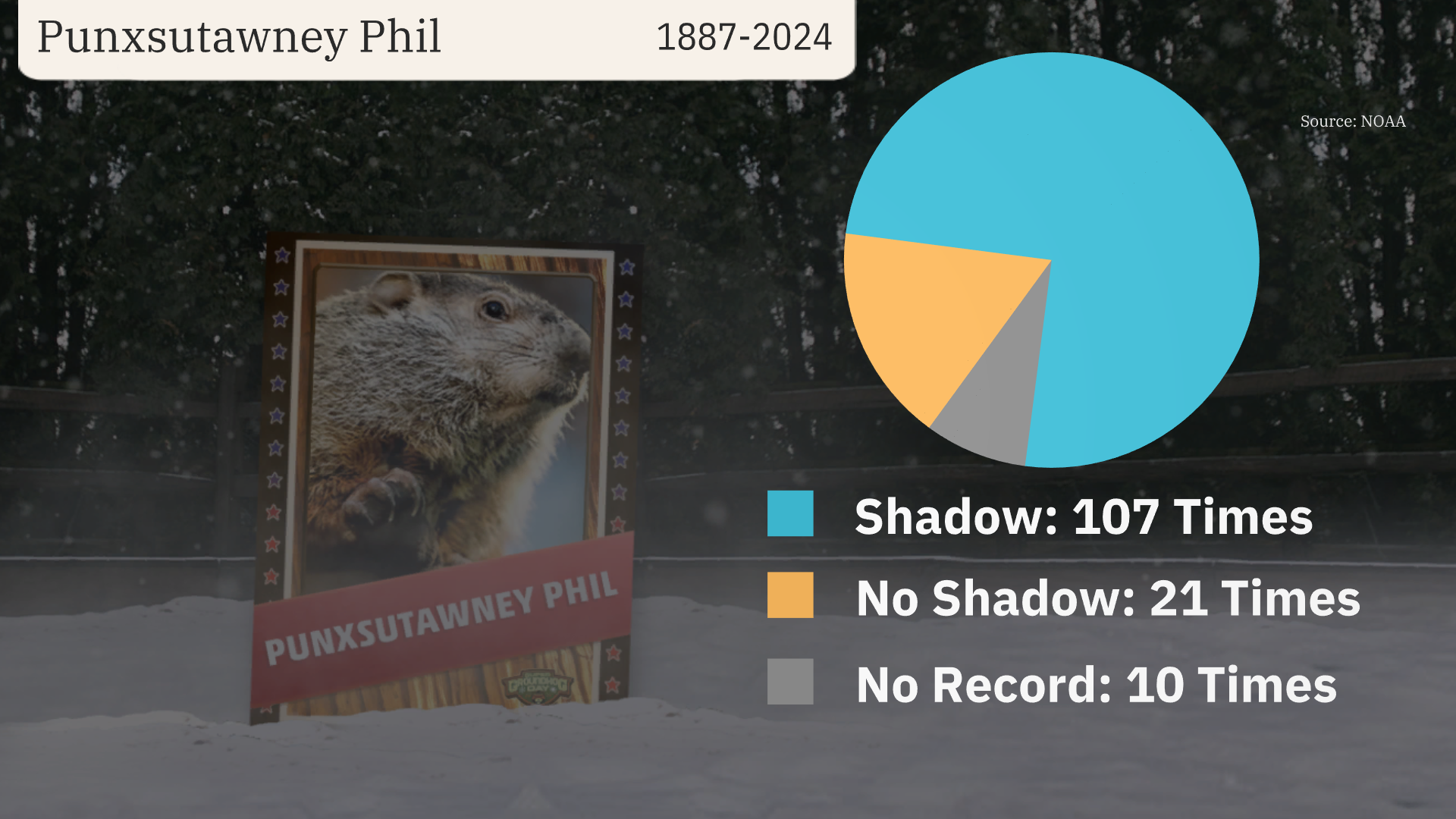 Groundhog Day Forecast 2025: Will Punxsutawney Phil See His Shadow And ...