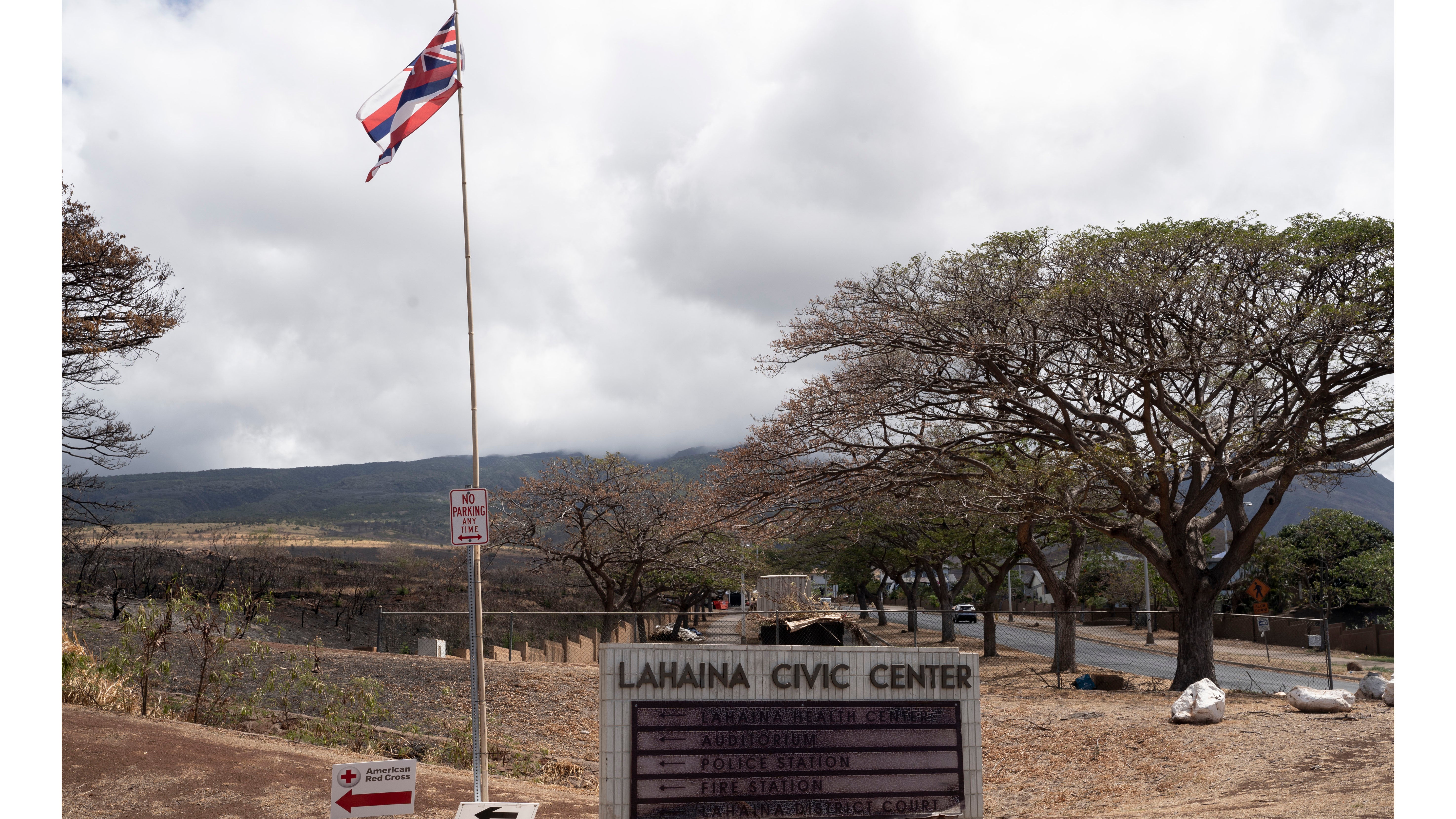 First Group Of Lahaina Residents Returns | Weather.com