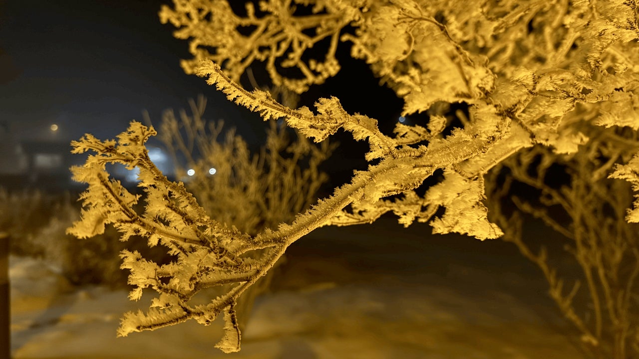 What Is Hoarfrost And How Does It Form? | Weather.com