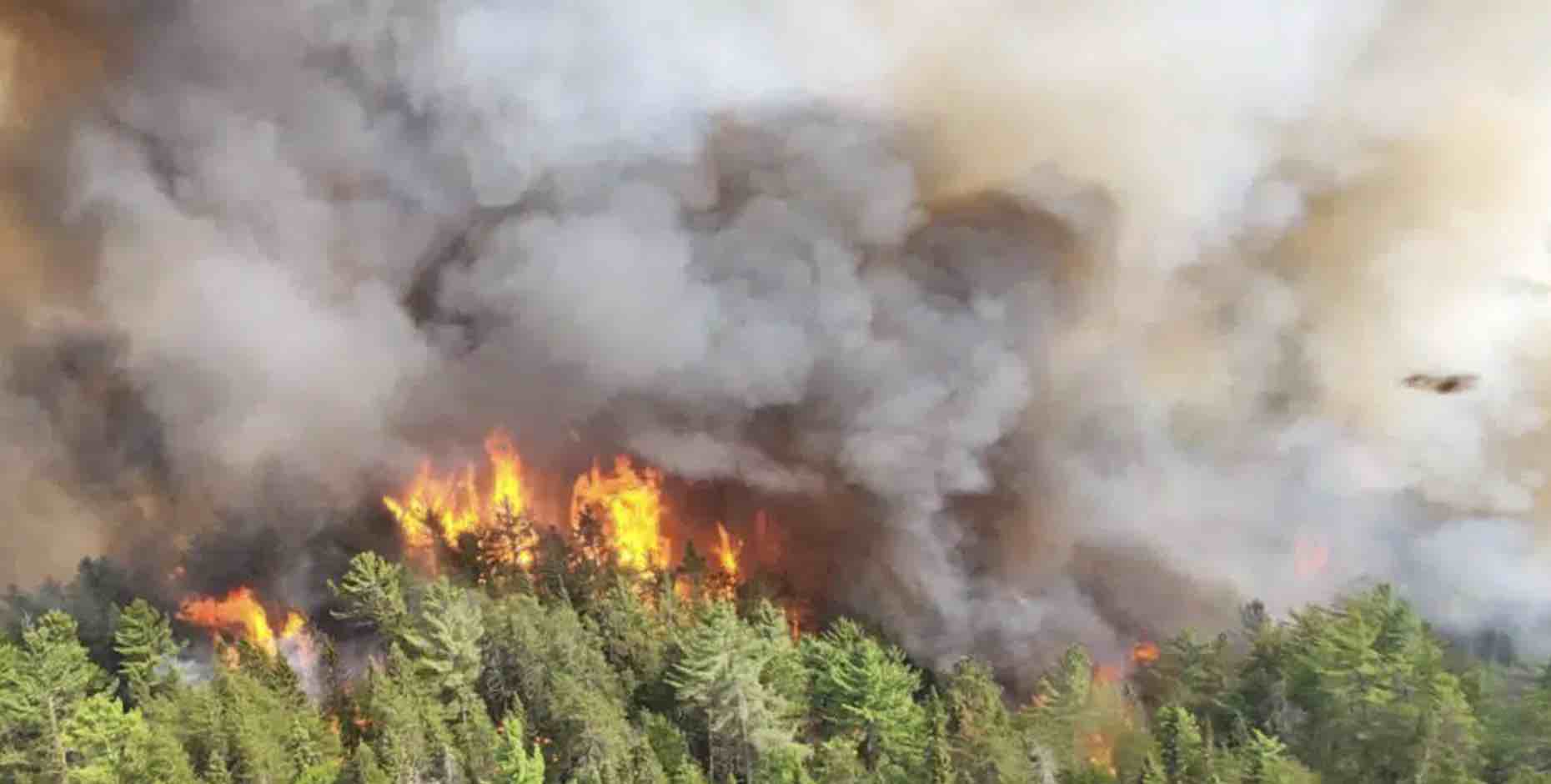 ‘The Wildfire Problem Is A Global Problem’ | Weather.com