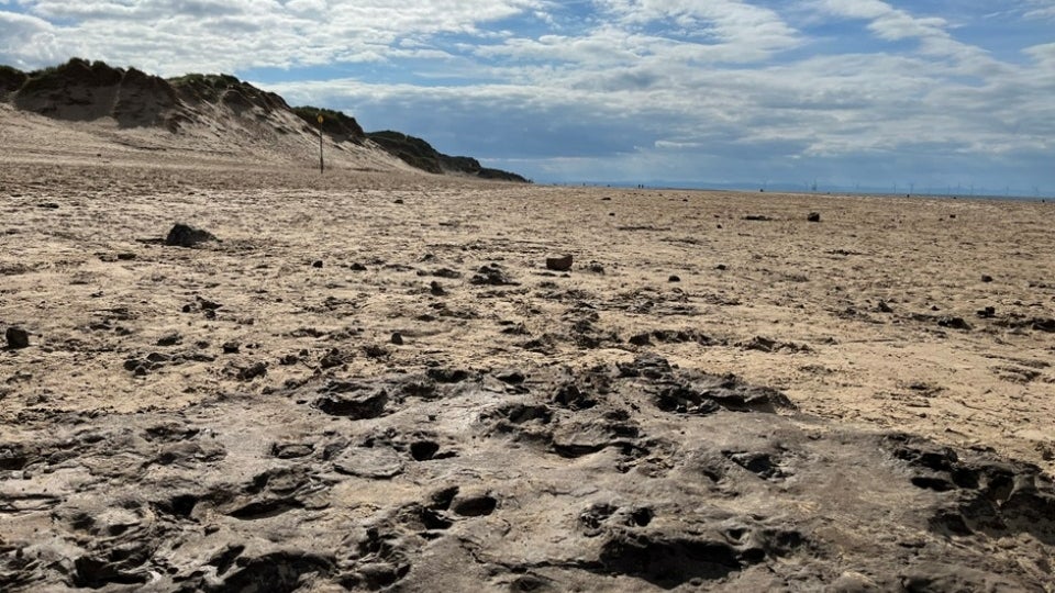 Ancient ‘Superhighway’ Full of Human and Animal Footprints