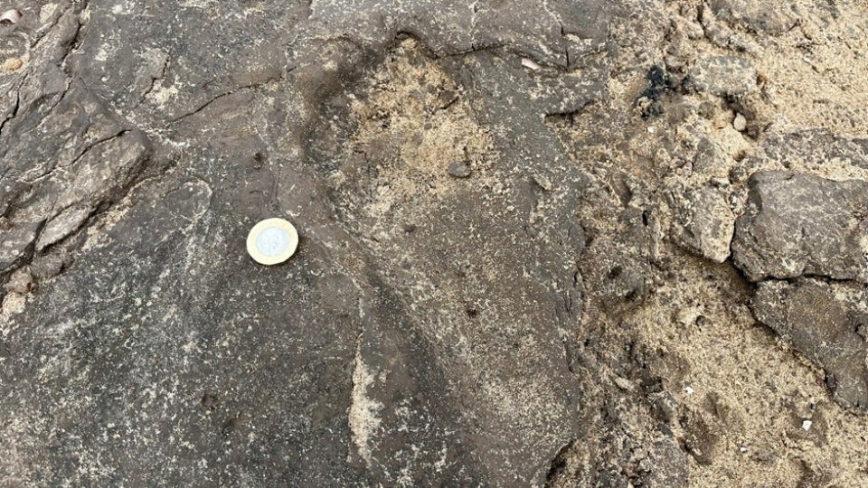 Ancient ‘Superhighway’ Full of Human and Animal Footprints