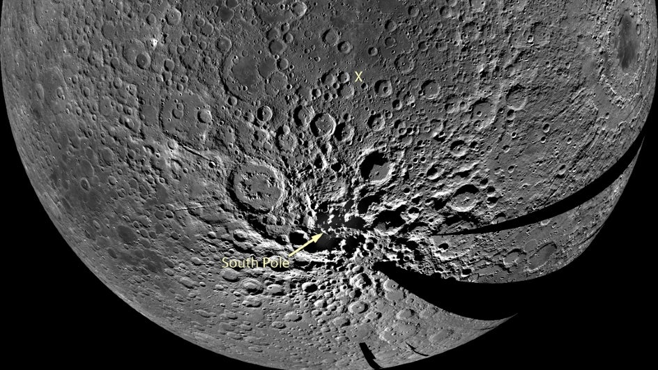 South Moon Photography