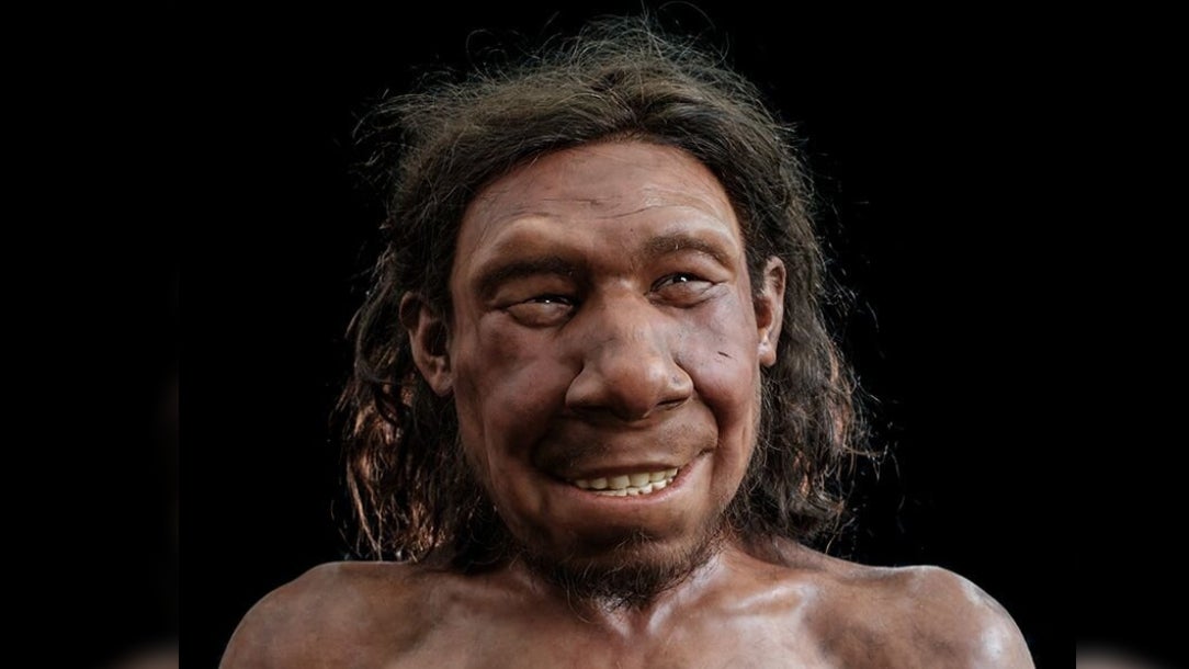 Neanderthal W