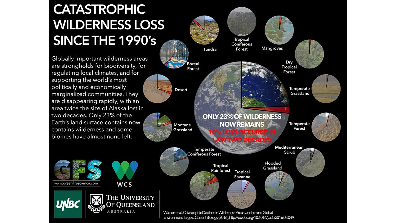 One-Tenth of the World's Wilderness Has Been Destroyed in Two Decades ...