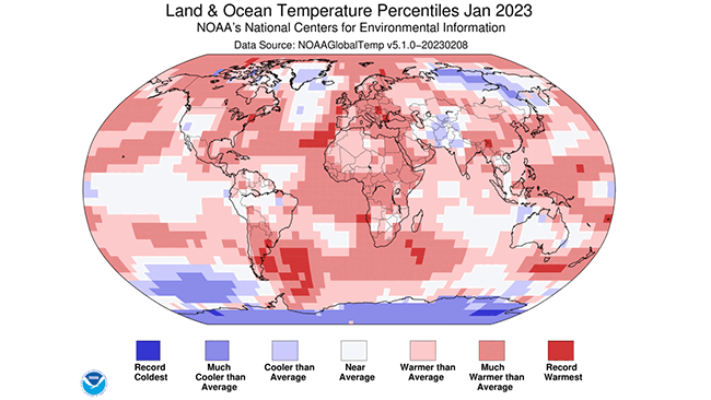 The 10 Strangest Things Of 2023's Weather | Weather.com