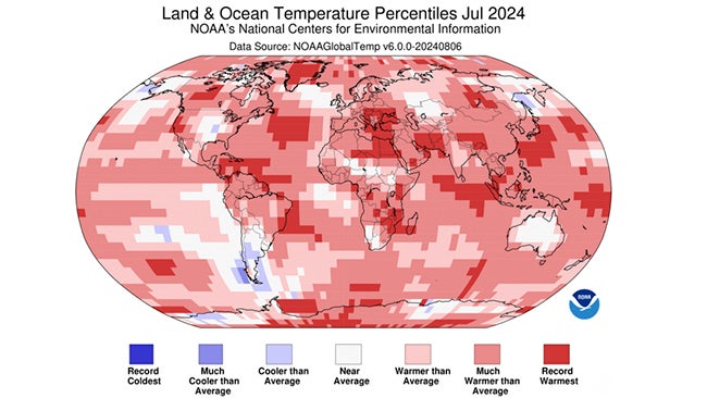 July 2024 Was Earth's Record Hottest Month, NOAA Says | Weather.com