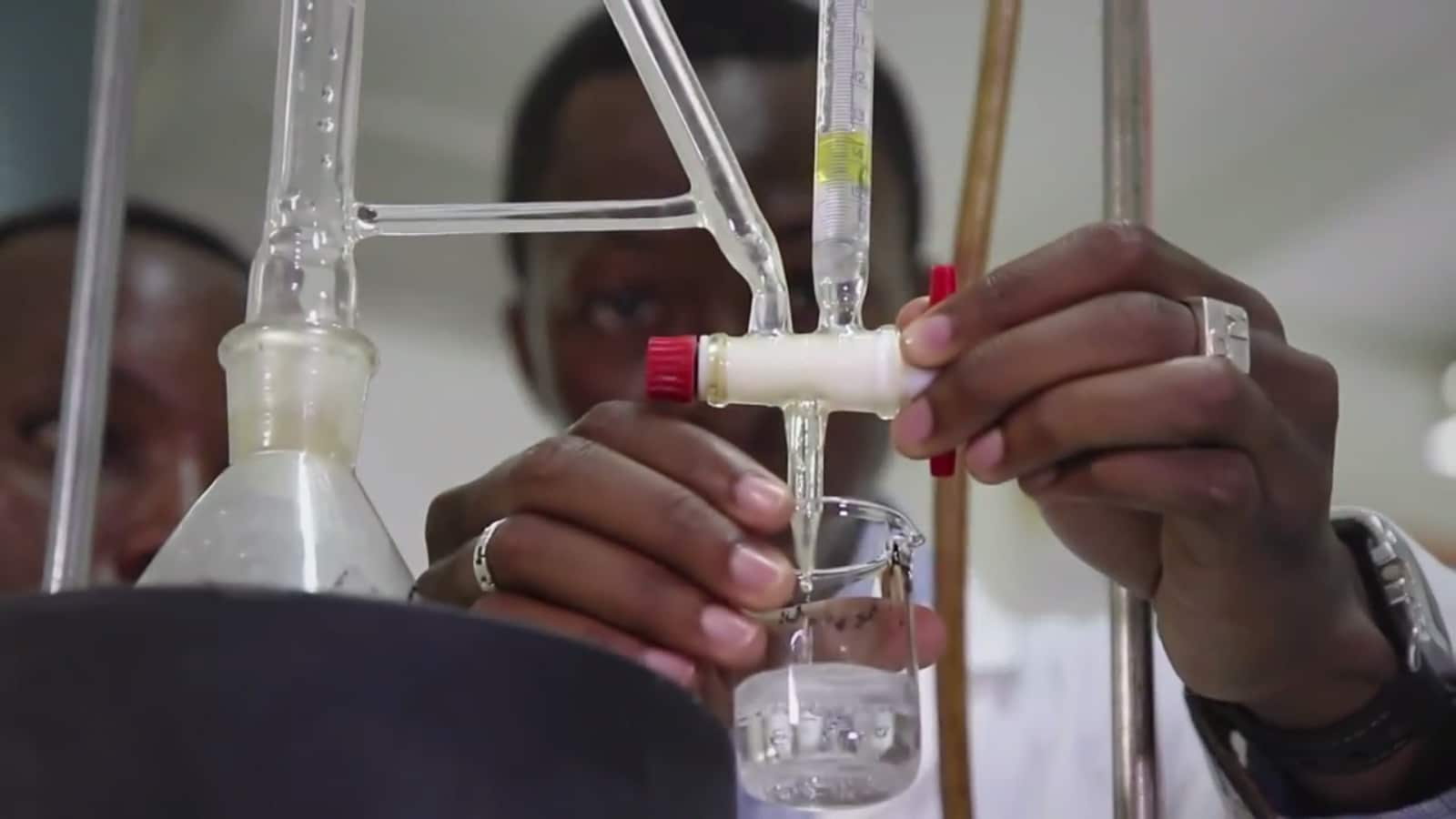Mosquito Repellent Soap Offers Alternative to Insecticides, Solution to ...