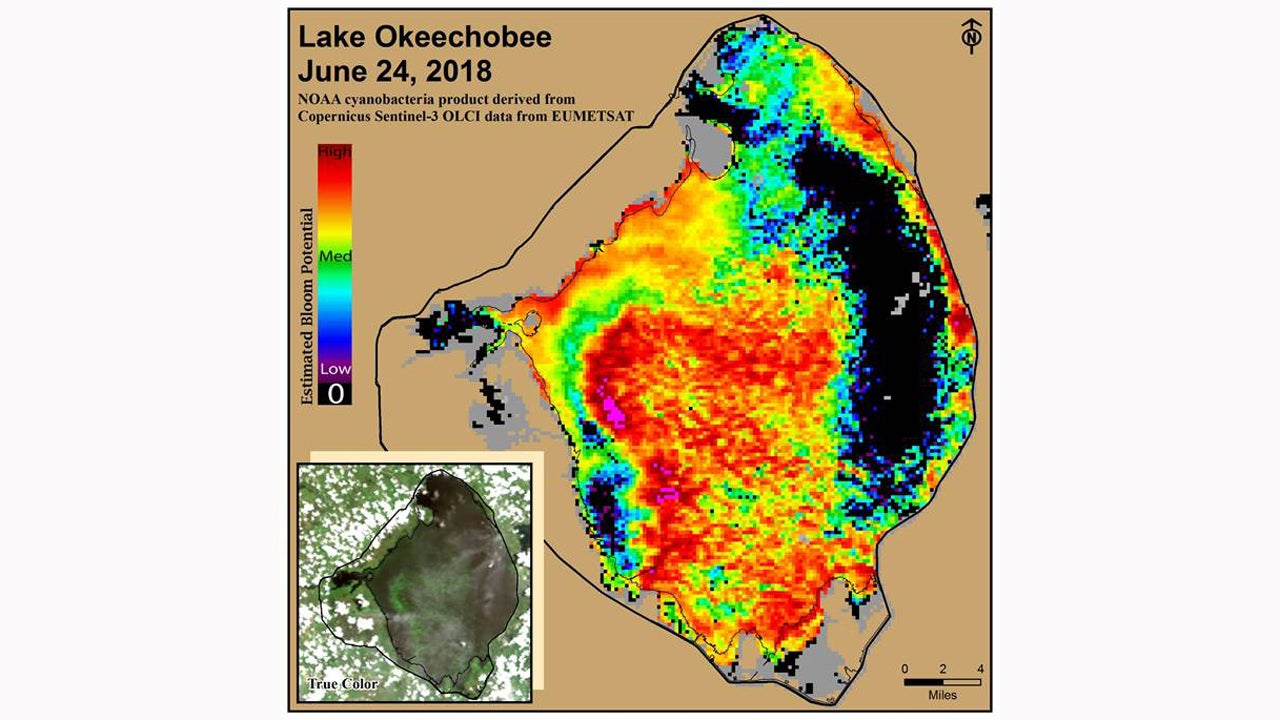 New Image Shows Lake Okeechobee Toxic Algae Bloom Has Spread ...