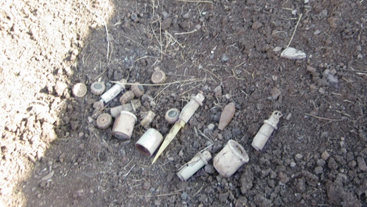Clearing Land Mines May Cause Lasting Environmental Damage, Study Says ...